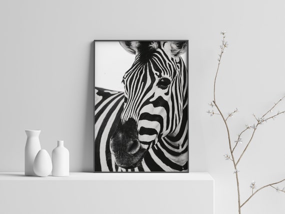 Zebra Print Zebra Wall Art Zebra Poster Zebra Pictures | Etsy