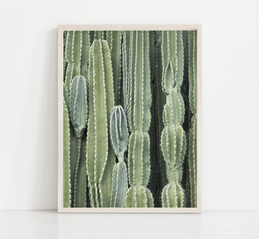 Cactus Poster, Cactus Print, Cactus Wall Art, Cactus Pictures, Plants ...