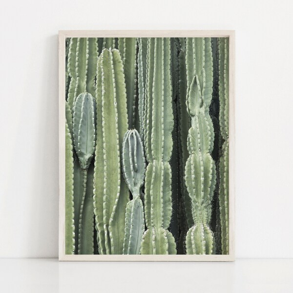 Cactus Poster - Etsy
