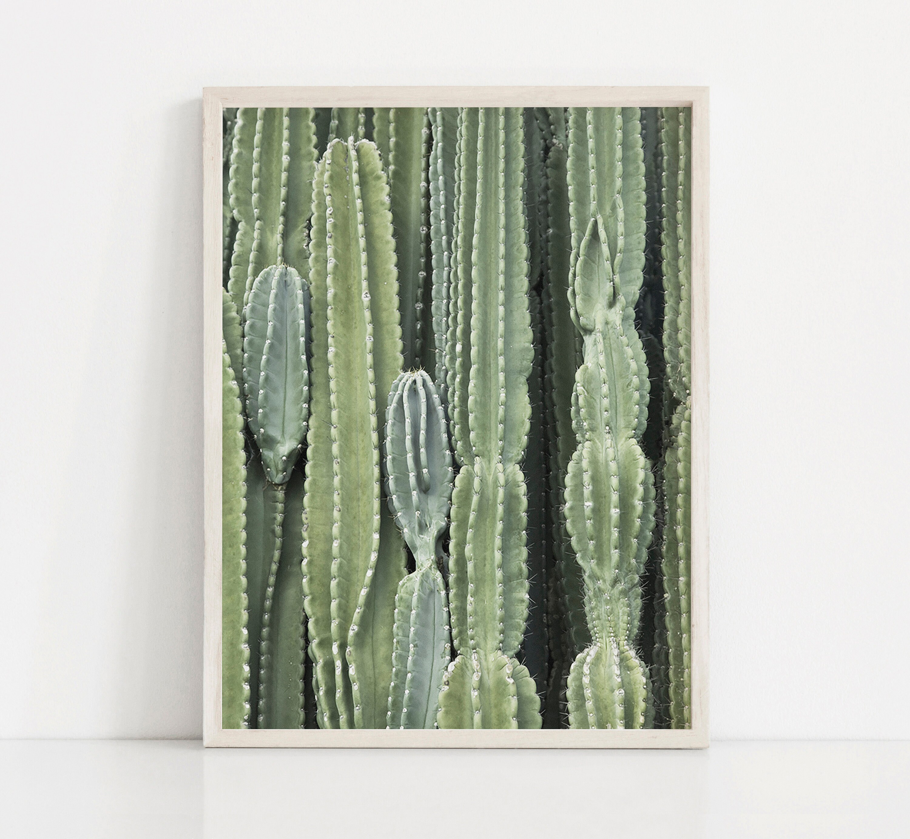 Cactus Poster, Cactus Print, Cactus Wall Art, Cactus Pictures, Plants ...