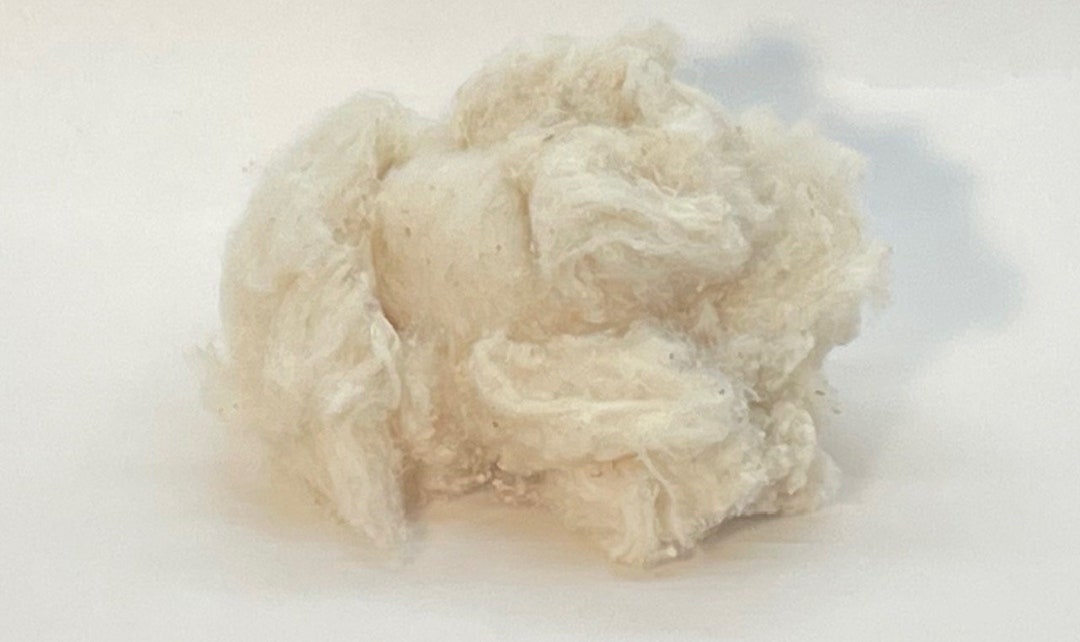 100% Organic Cotton Filling / Perfect for Filling Pillows, Cushions ...