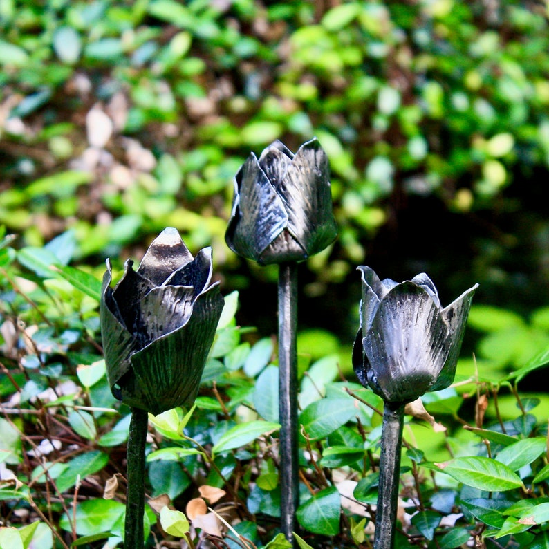 Hand Forged Steel Tulip: 6th or 11th Anniversary Iron Flower Sculpture ...