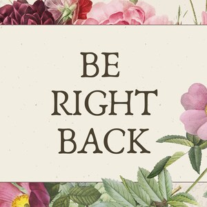 8 Twitch Stream Scenes, Animated and Static Overlay, Starting Soon, Be ...