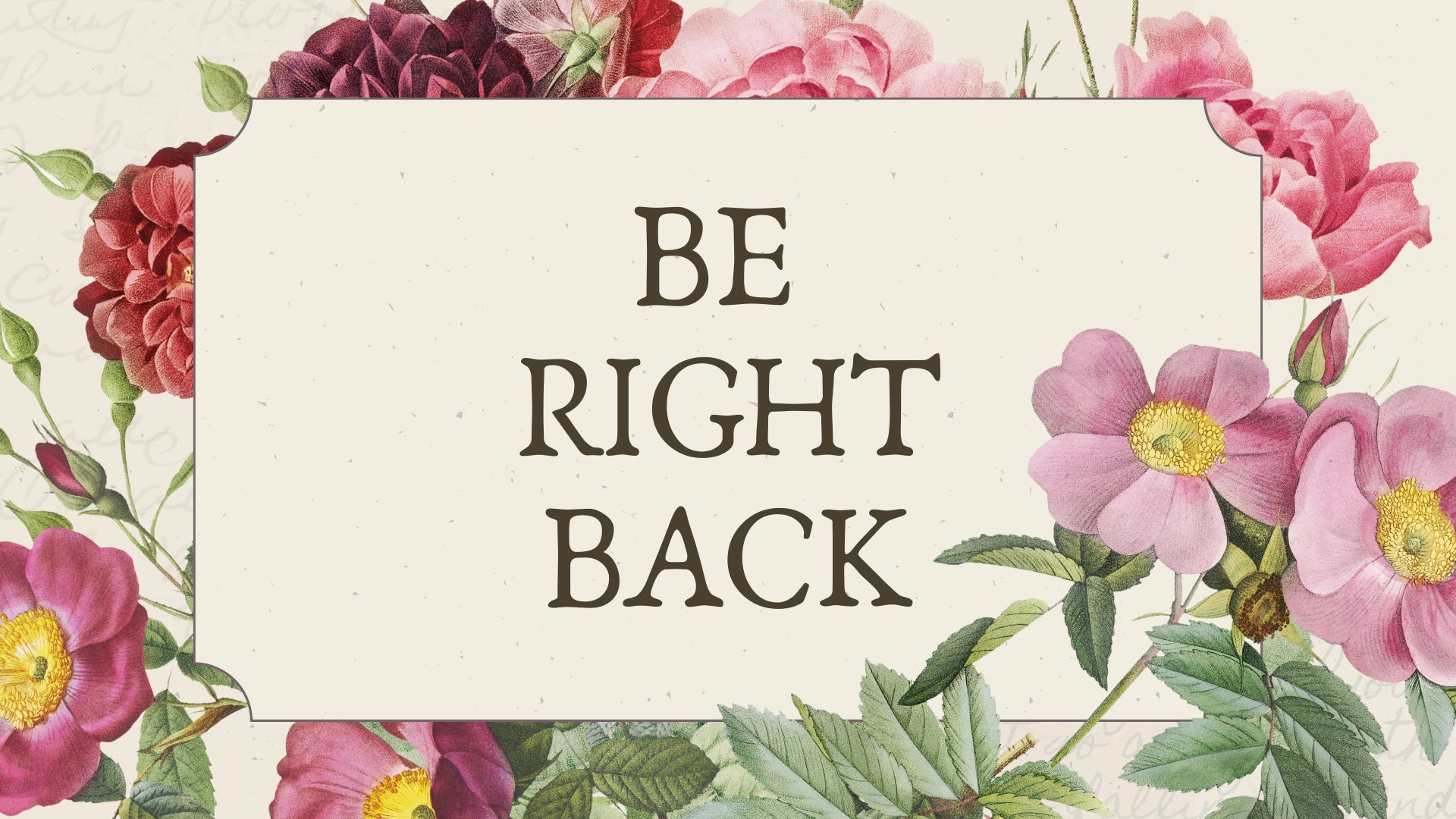 8 Twitch Stream Scenes, Animated and Static Overlay, Starting Soon, Be ...