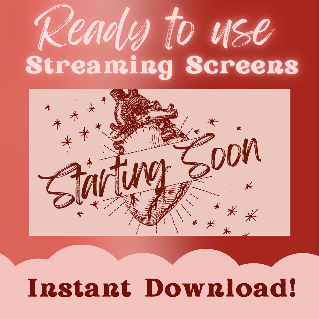 8 Twitch Stream Scenes Animated and Static Overlay Starting - Etsy