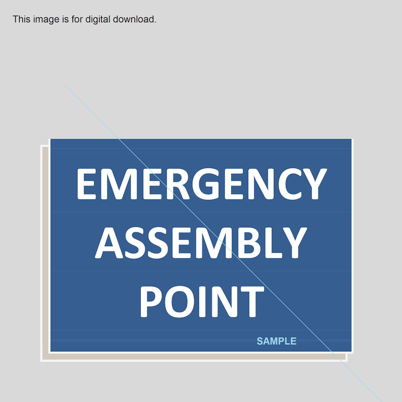 Emergency Assembly Point Poster – Printable Safety Sign (PDF) - Etsy