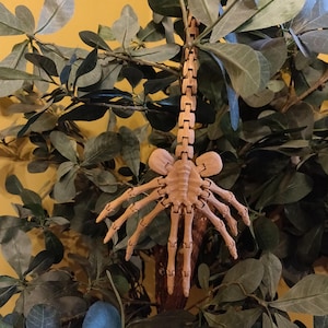 Alien Facehugger 3D Printed Model | Fully Articulated Movie Prop ...