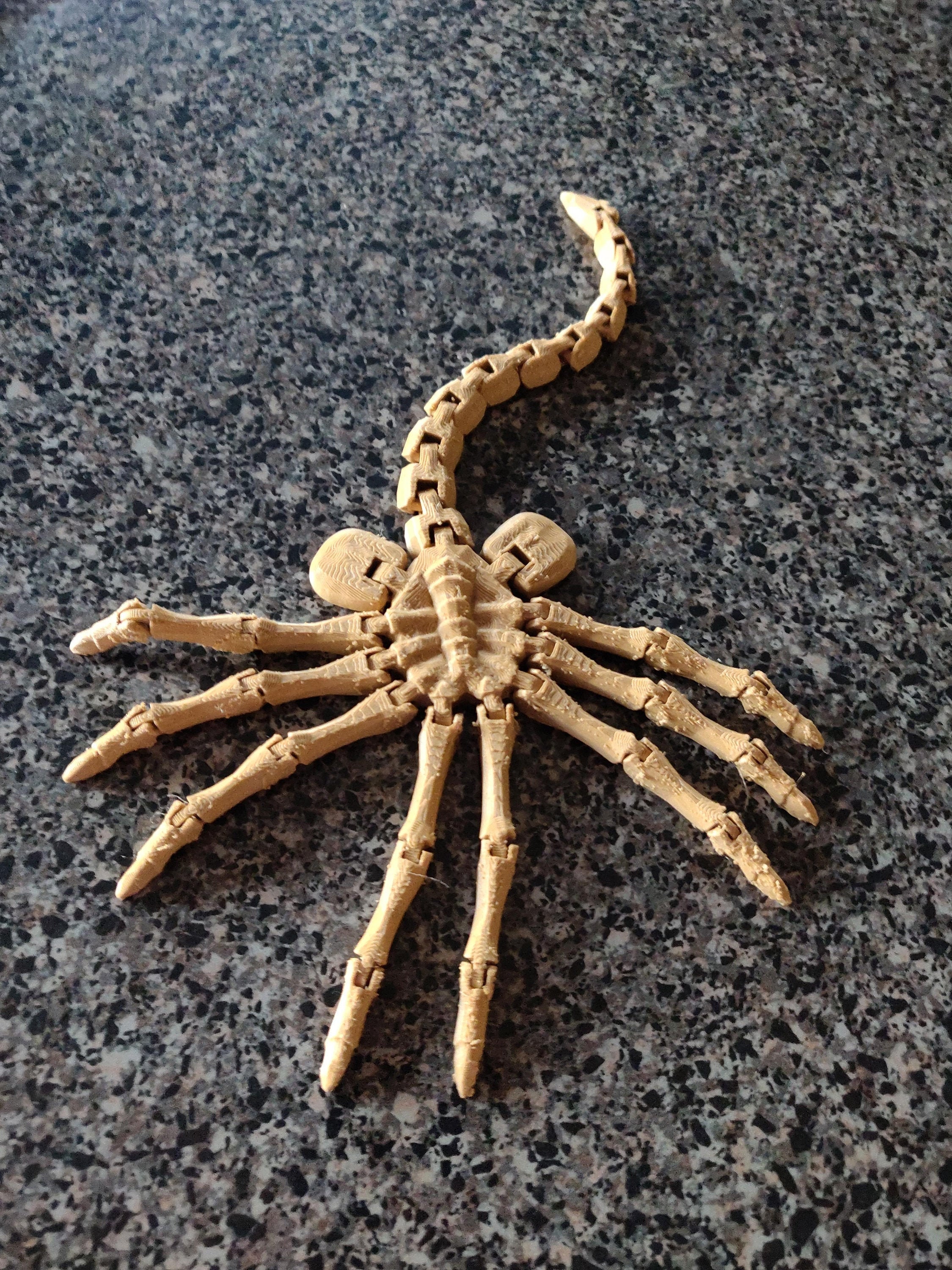 Alien Facehugger Articulating 3D Model - Etsy