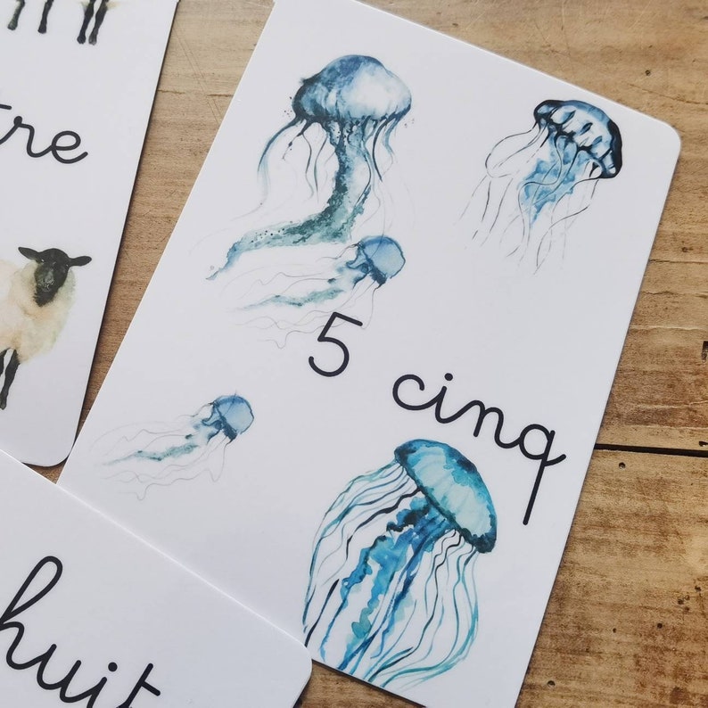 Cartes les chiffres documents linguistiques cartes de - Etsy France