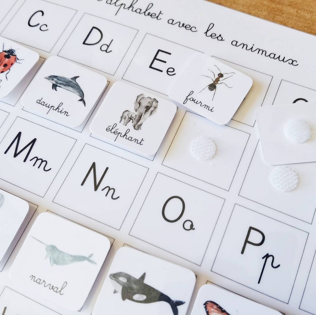 Animal Alphabet Game, Montessori Phonetic Recognition Game - Etsy