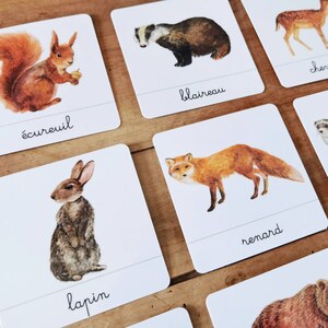 Les animaux de la forêt, documents linguistiques cartes de nomenclature ...