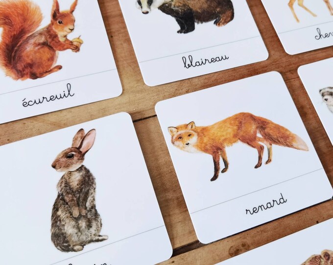 Les animaux de la forêt documents linguistiques cartes de - Etsy France