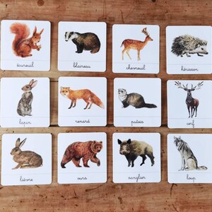 Les animaux de la forêt, documents linguistiques cartes de nomenclature ...