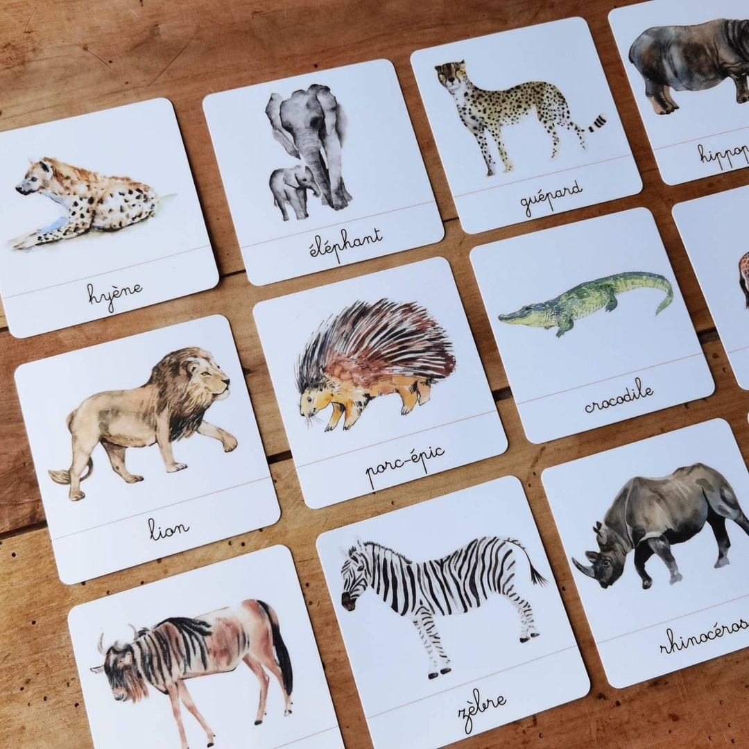The Animals of the Savannah Africa, Linguistic Documents Nomenclature ...