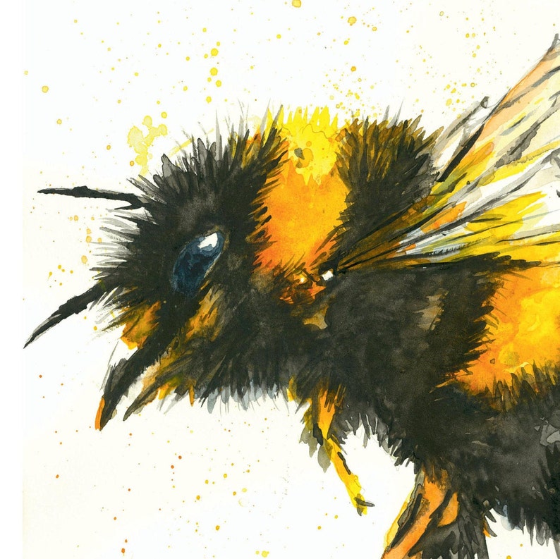 Betty the Bumble Bee, Watercolour Print, Watercolour Print, Bumble Bee ...