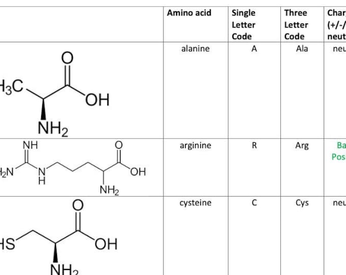 Amino Acids MCAT Cheat Sheet Practice Fillable. - Etsy