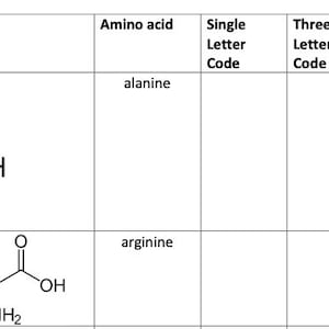 Amino Acids MCAT Cheat Sheet Practice Fillable. - Etsy Israel