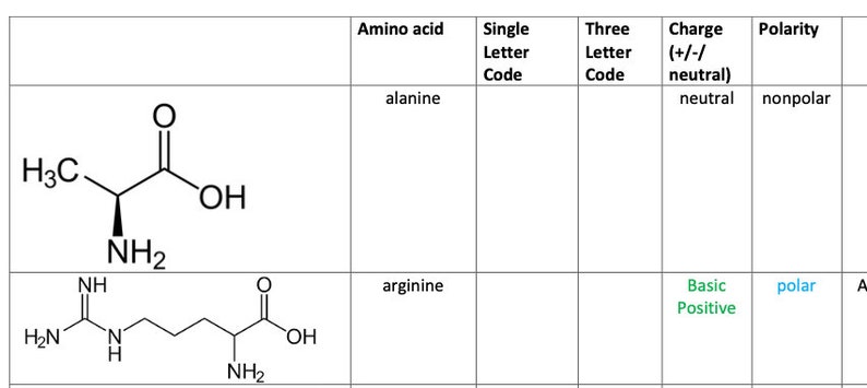 Amino Acids MCAT Cheat Sheet Practice Fillable. - Etsy