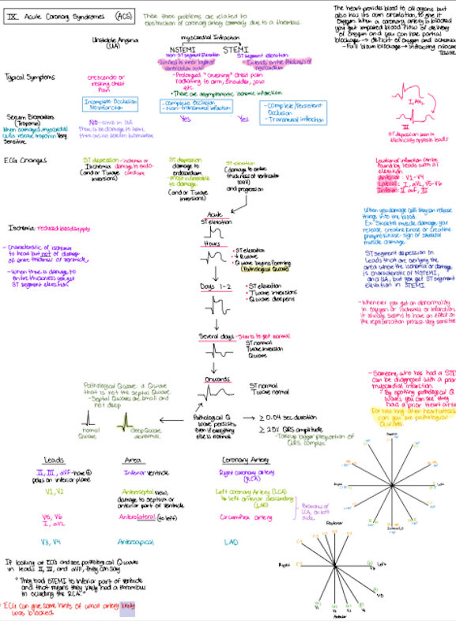 Arrhythmias, ECG Wave Morphologies, Coronary Syndromes, Atrial ...