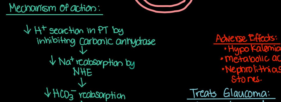 Diuretics (carbonic Anhydrase Inhibitors, Loop Diuretics, Thiazide ...