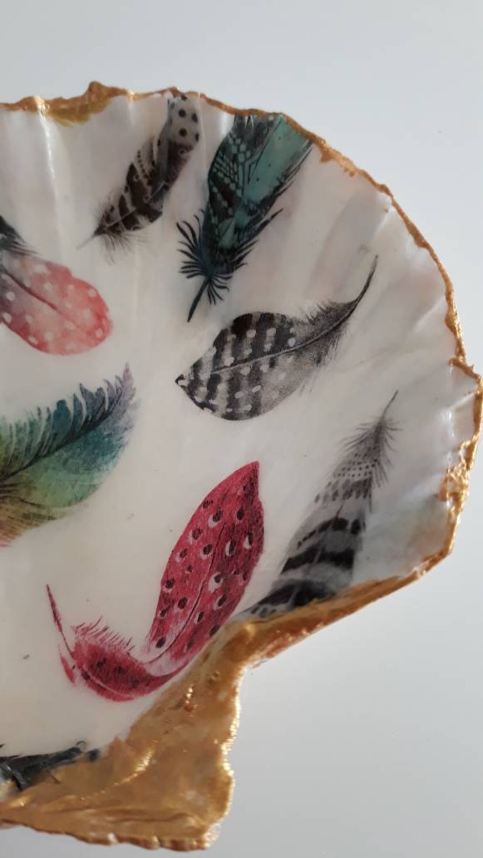 Beautiful Large Scallop Shell With Decoupage Multicoloured Feathers and ...