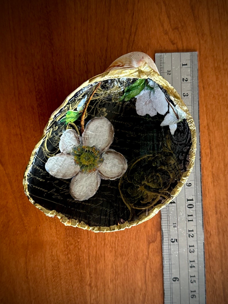 Seashell Trinket Tray Made With a Florida Cockle Shell and Decoupage ...
