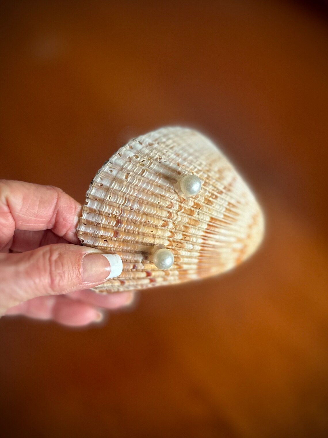 Seashell Trinket Tray Made With a Florida Cockle Shell and Decoupage ...