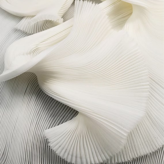 White Drapey Plisse Fabric Pleated Chiffon 2 way Stretch Summer Dress Fabric designer Fabric for Party Dress gown event Dress Etsy