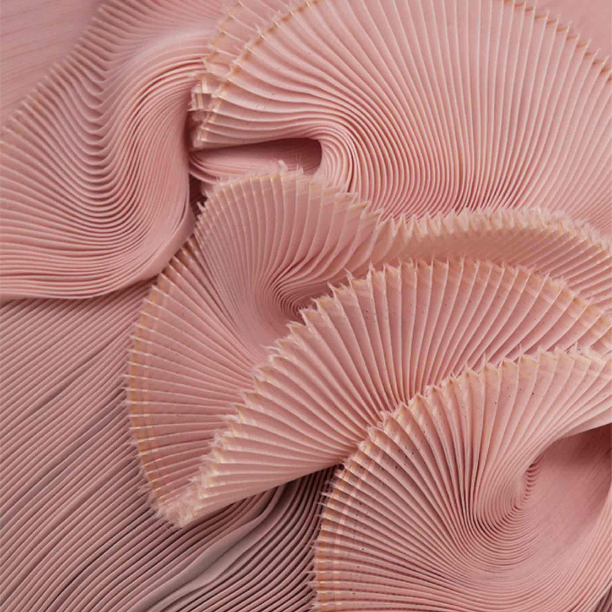 White Drapey Plisse Fabric - Pleated Chiffon - 2-way Stretch - Summer ...