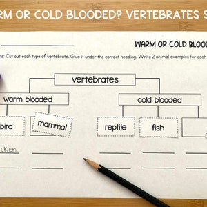 Vertebrates and Invertebrates Animal Classification Science Activities ...