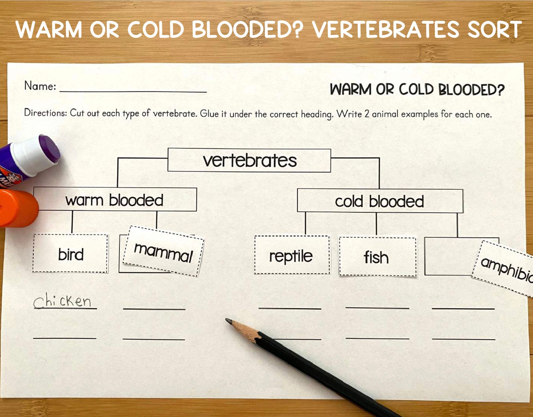 Vertebrates and Invertebrates Animal Classification Science Activities ...