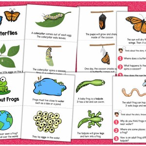 SPRING Printable Books for Beginning Readers Sight Words Decodable Text ...