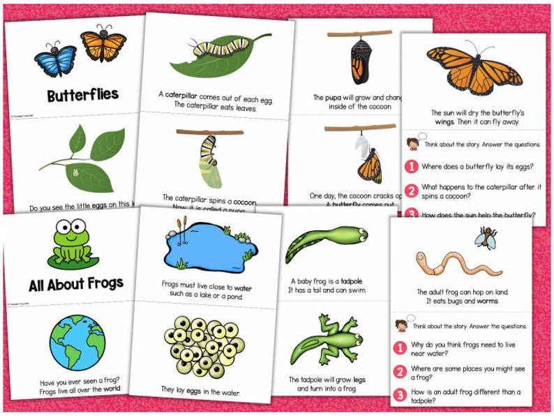 SPRING Printable Books for Beginning Readers Sight Words - Etsy