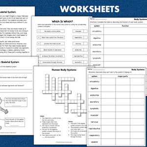 Human Body Systems 3rd 4th 5th Grade Science Posters & Worksheets ...