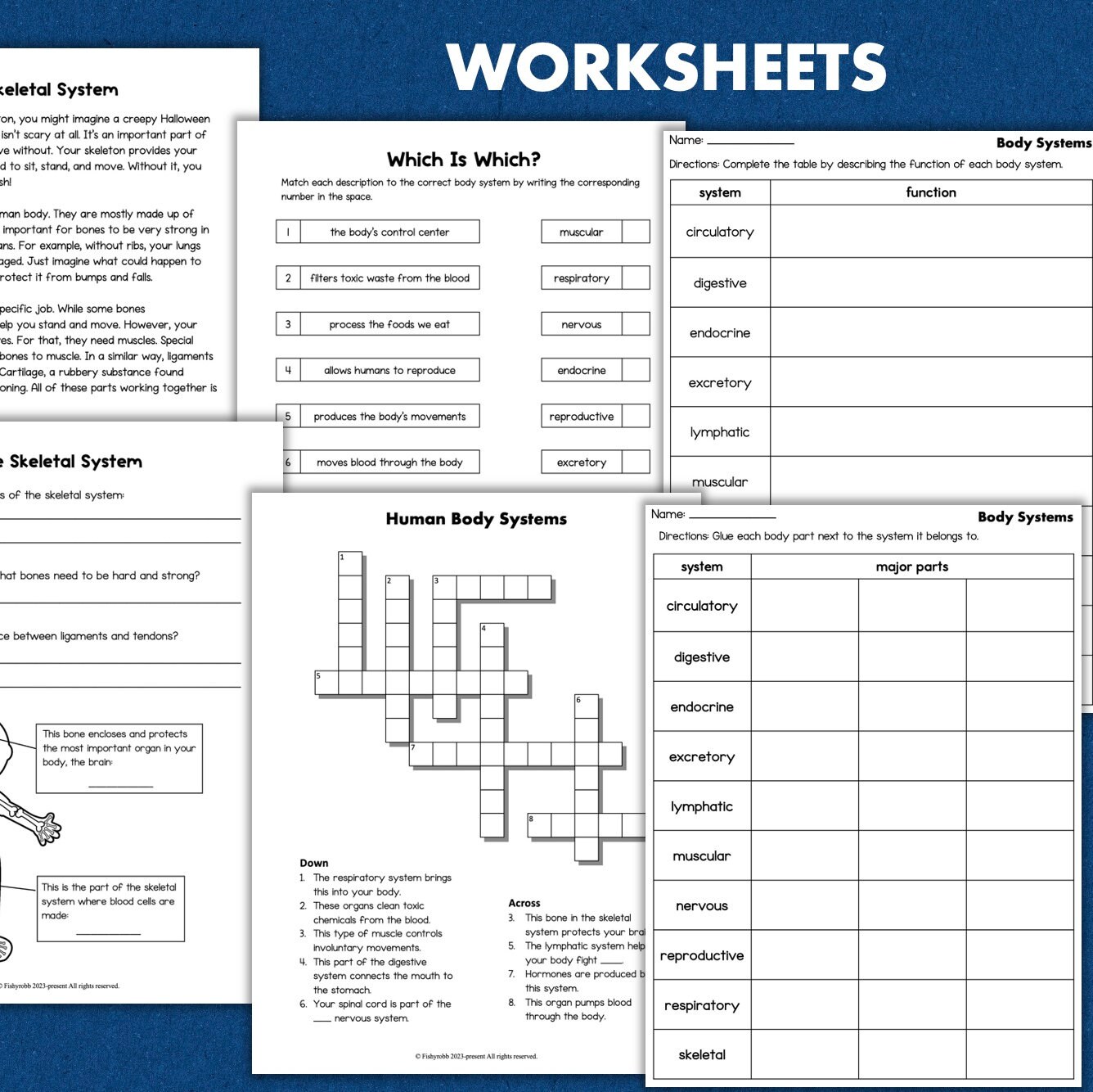 Human Body Systems 3rd 4th 5th Grade Science Posters & Worksheets ...