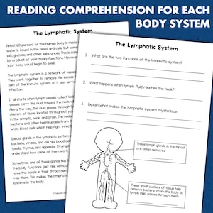 Human Body Systems 3rd 4th 5th Grade Science Posters & Worksheets ...