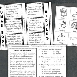 Human Body Systems and Organs for Primary Grades Science Posters ...