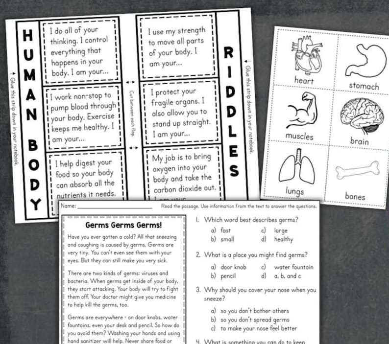 Human Body Systems and Organs for Primary Grades Science - Etsy