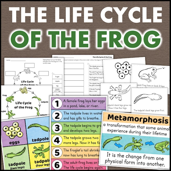 3rd Grade Science Poster - Etsy