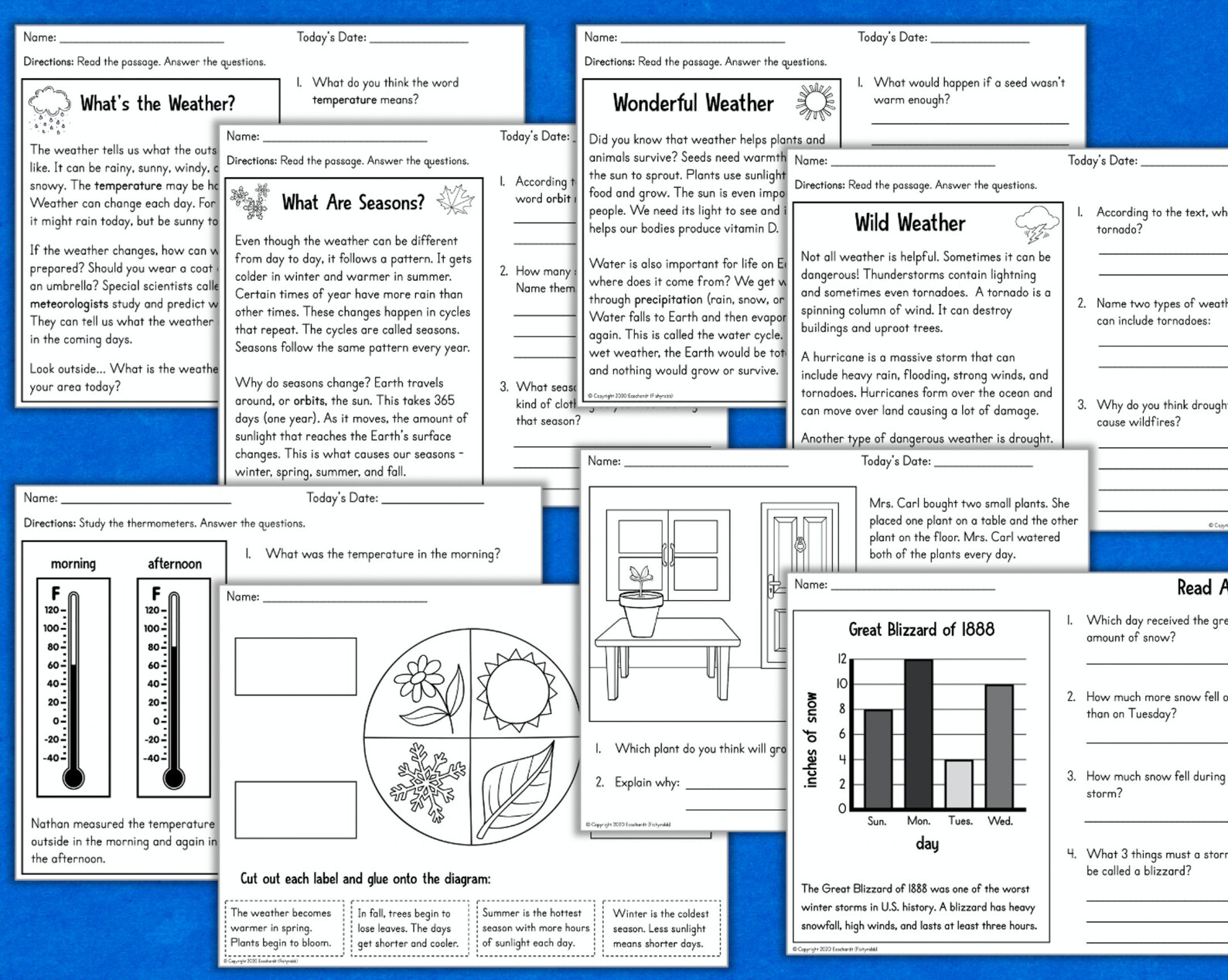 Weather and Seasons Science Reading Worksheets 2nd 3rd Grade Homeschool Classroom Printables - Etsy
