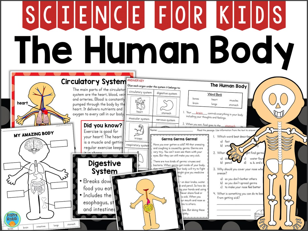 Human Body Systems and Organs for Primary Grades Science - Etsy