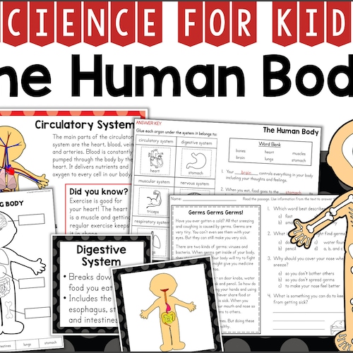 Human Body Systems and Organs for Primary Grades Science - Etsy