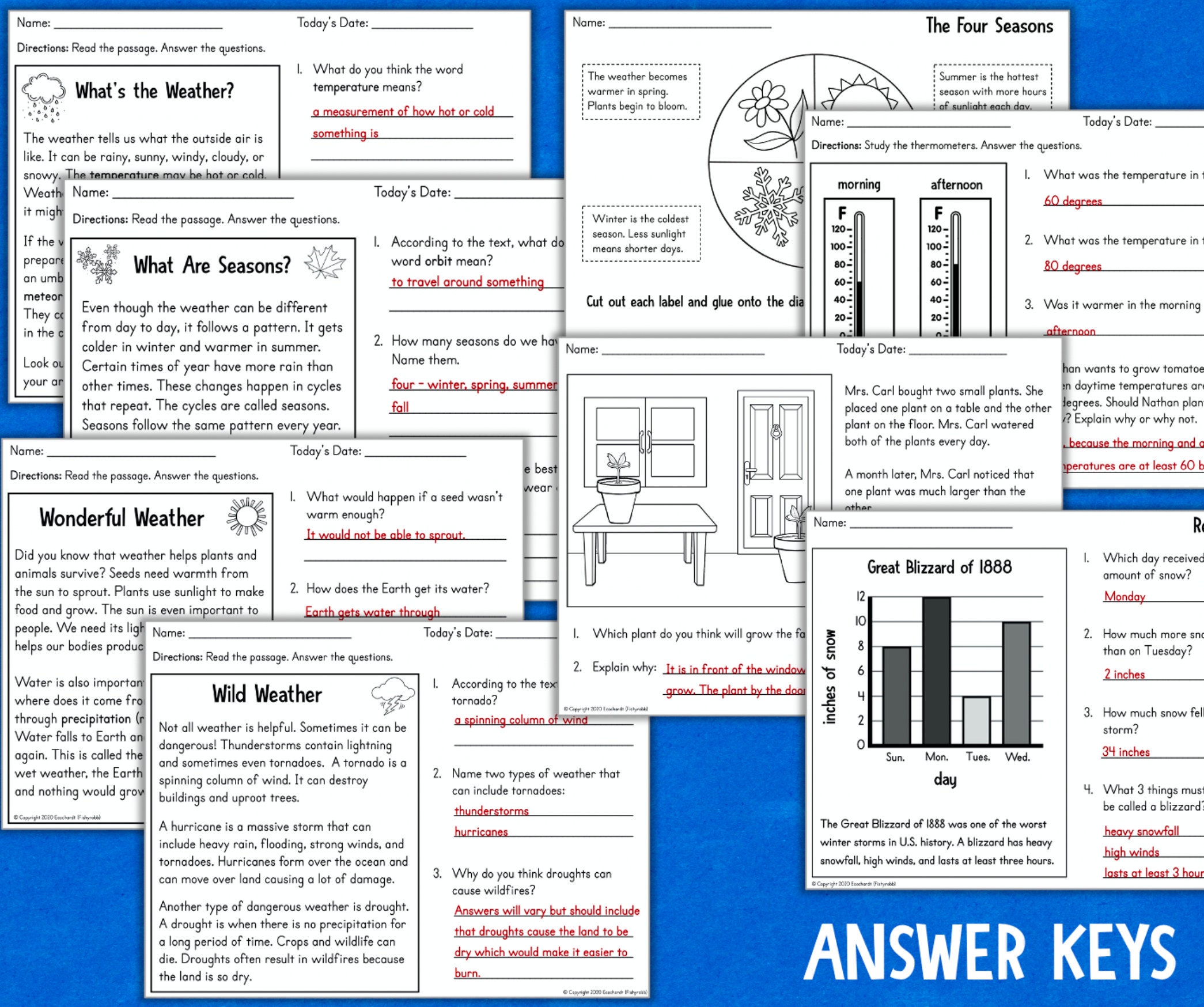 Weather and Seasons Science Reading Worksheets 2nd 3rd Grade Homeschool Classroom Printables - Etsy
