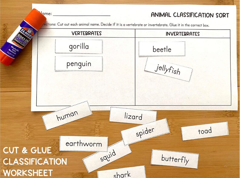 Vertebrates and Invertebrates Animal Classification Science Activities ...
