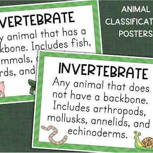 Vertebrates and Invertebrates Animal Classification Science Activities ...