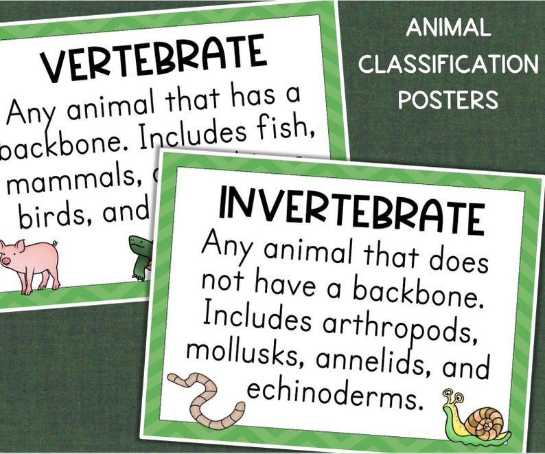 Vertebrates and Invertebrates Animal Classification Science Activities ...