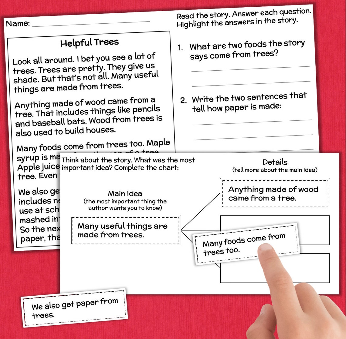 2nd Grade Reading Comprehension Worksheets MAIN IDEA Classroom - Etsy