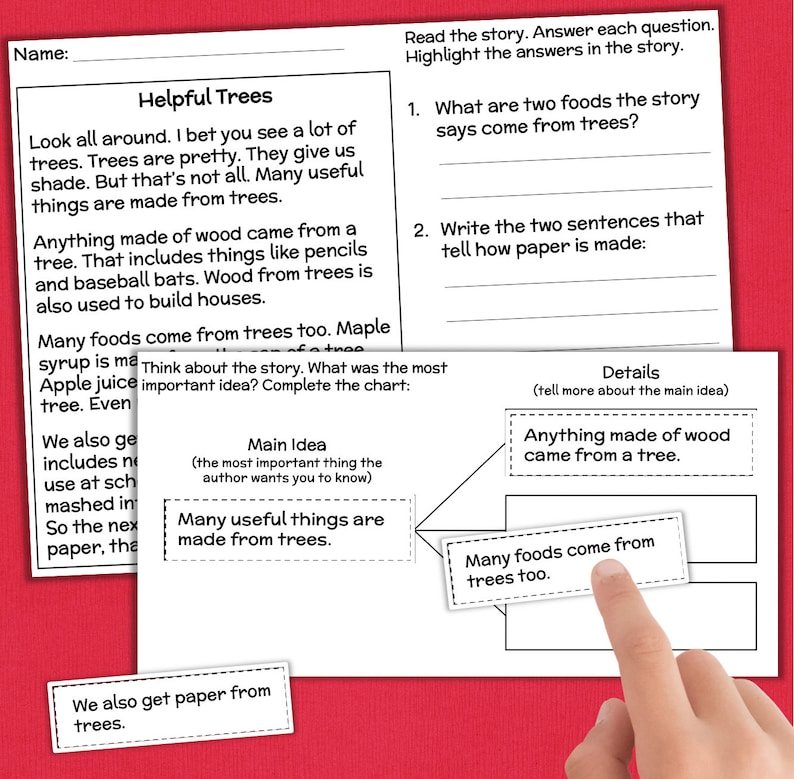 2nd Grade Reading Comprehension Worksheets MAIN IDEA Classroom - Etsy