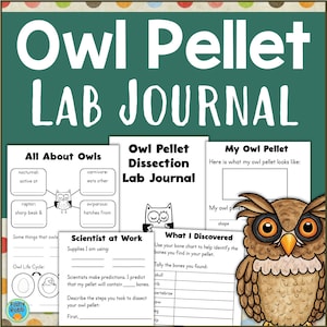 Owl Pellet Dissection Activity Lab Booklet 2nd 3rd 4th Grade Science ...