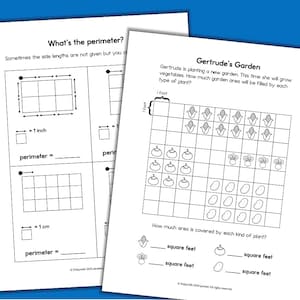 Grade 3 Math Area and Perimeter Worksheets Learn at Home Homeschool ...